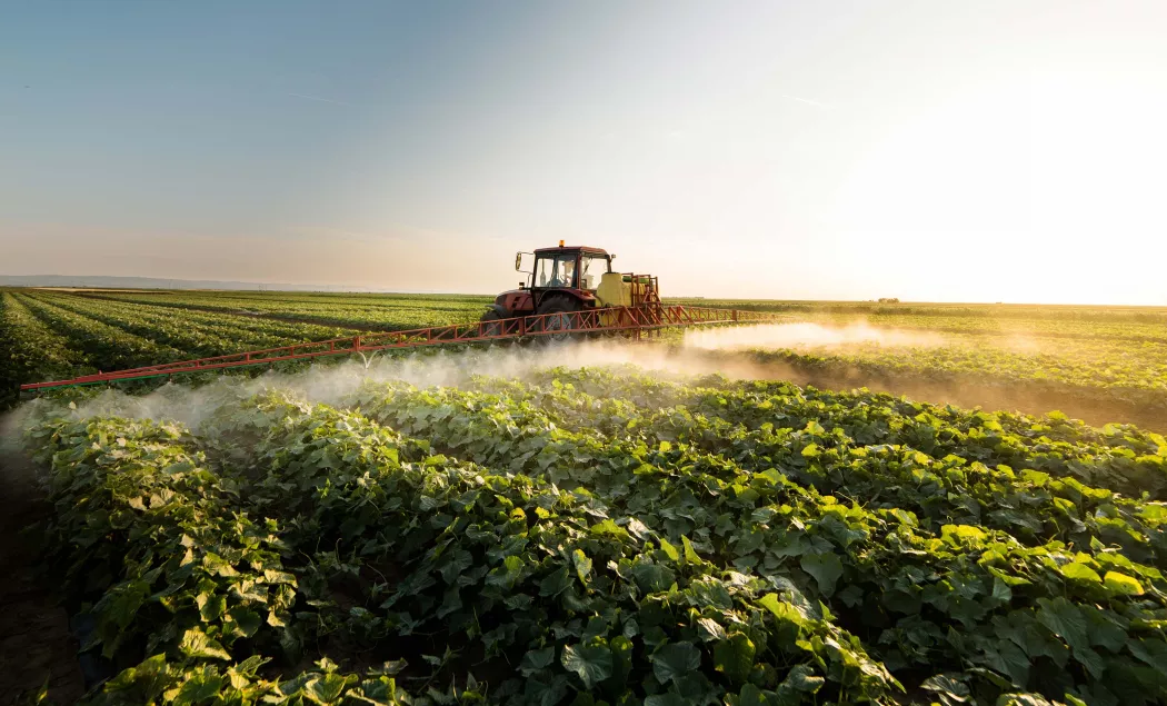 Alliance | Usine à sites internet, extranet, ecommerce, applications ...